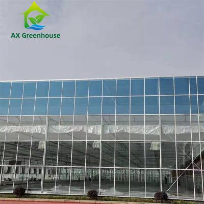 China EC PH Control Intelligent Water Fertilizer Machine Drip Irrigation Fertilization System for sale