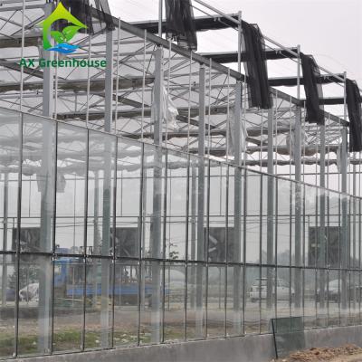 China Waterproof Multispan Agricultural Glass Greenhouse Large Venlo Shading Greenhouse for sale