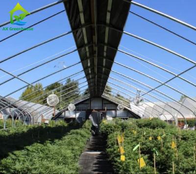 Cina La luce commerciale Dep Greenhouse Plastic Film Hot del cortile ha galvanizzato la serra d'acciaio in vendita