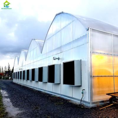 China Commercial Automatic Irrigation Fertilization System For Agricultural for sale