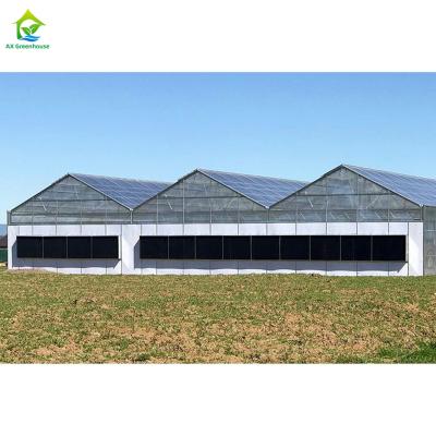 China Commercial Automatic Irrigation Fertilization System For Agricultural for sale
