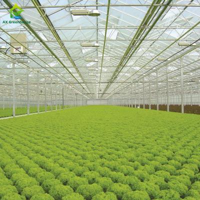 Cina Impianto di irrigazione del fertilizzante del liquido dell'azienda agricola del ODM dell'OEM per la piantatura del fiore in vendita