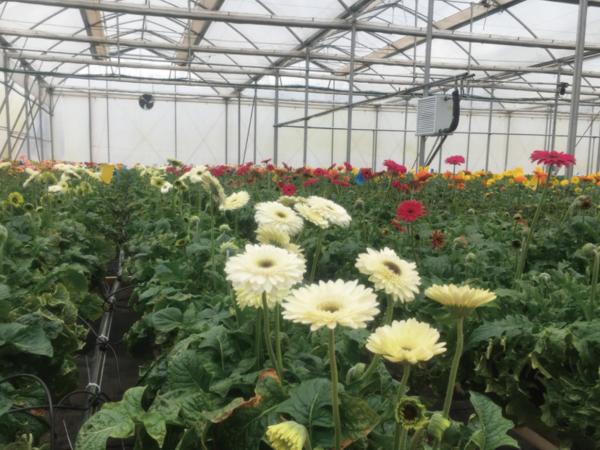 Integrated Water Fertilizer Applicator