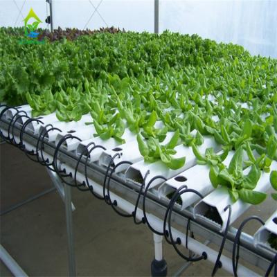 China 90 Sites 10 Pipe Soilless Hydroponic System for sale