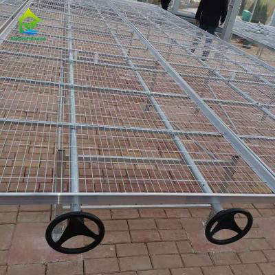 China Horticulture Adjustable Seed Bed Wire Mesh Commercial Greenhouse Grow Table for sale
