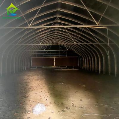 Cina Le cannabis su misura accendono la serra di blackout di Dep Solutions Electric Film Roller in vendita