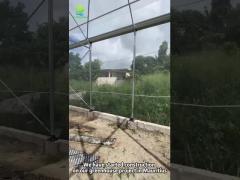 Estufa hidropônica personalizada do jardim da folha do PC para a alface