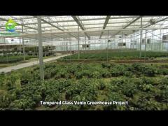 OEM ODM Safety 5mm Tempered Glass For Greenhouse Wall Covering