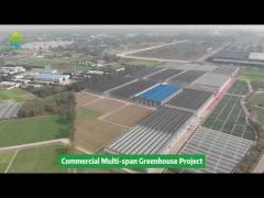 Durable Poly Tunnel Agricultural Multi-span Plastic Film Greenhouse For Vegetables