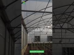 Single-Span Sawtooth Design Tropical Plastic Film Greenhouse Tunnel Customized for Vegetable Growing
