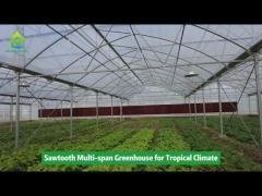Résistant à l'usure en alliage d'aluminium squelette tropical poly tunnel film serre-dent serre