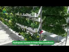 Equipamento crescente hidropônico vertical da irrigação do sistema Soilless Nontoxic da cultura do PVC
