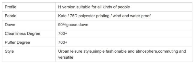 Custom Print Men&prime;s Down Jacket Goose for Mens 2023 Winter Puffer Jacket Long Down Coats Hooded Clothes
