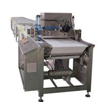China 600mm Chocolate Chip Making Machine for sale