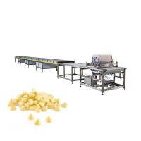 China 1000mm Chocolate Chip Making Machine for sale