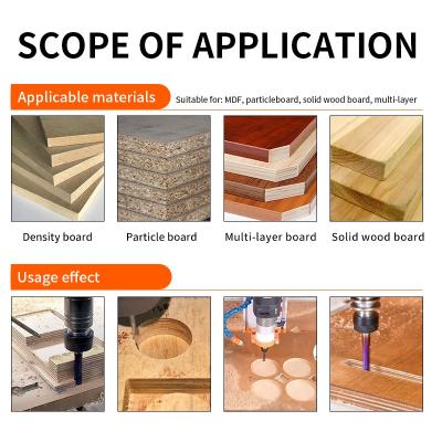 Cina Fresa in metallo duro per rivestimento DLC Precision Tools, 8mm 10mm, set di punte per router CNC in vendita