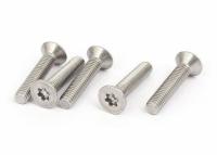 China 16 Threads Coarse Thread Type Pan Head Security Screw Security Tapping Screw s for sale