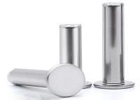 China Round Mushroom CSK Flat Head Solid Rivets Class Grade 12.9 Mechanical Rivet for sale