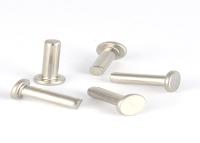 China Round Mushroom CSK Flat Head Solid Rivets Class Grade 12.9 Mechanical Rivet for sale