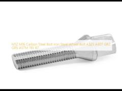 M12 M16 Carbon Steel Bolt Iron Steel Wheel Bolt A325 A307 GR2 GR5 ASTM 193 B7