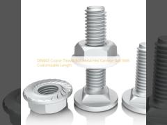 DIN603 Coarse Thread Bolt Metal Hex Carriage Bolt With Customizable Length