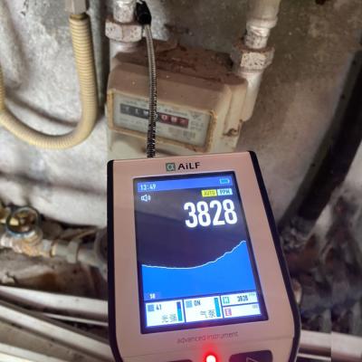 China Full Range Portable Methane Detector Pump Type Leak Detection Equipment EXib IIC T3 for sale