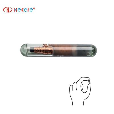 China Wholesale 134.2kHz ISO 11784/1175 Fdx-B Pet ID 15 Bit RFID Pet Microchip Syringe for Animal for sale