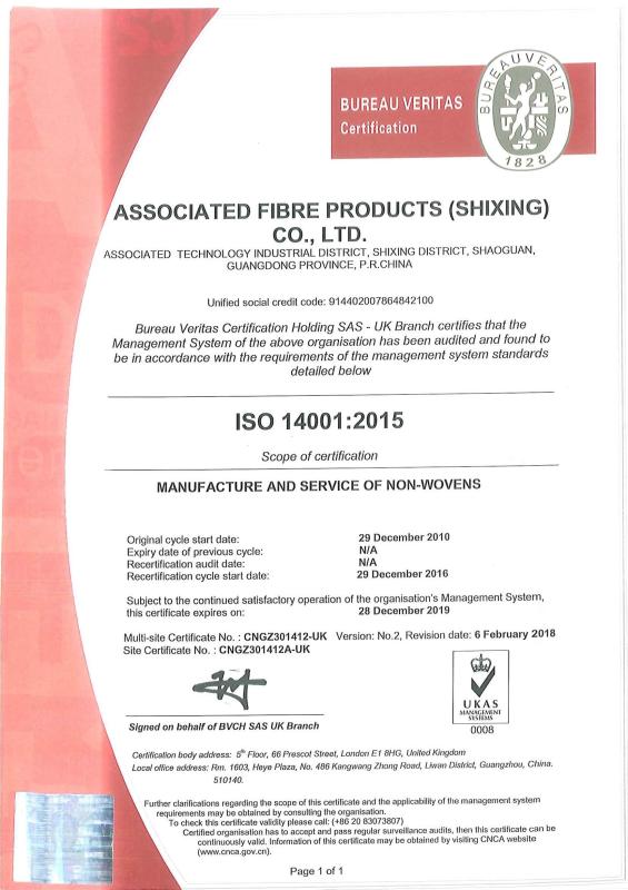 ISO 14001:2015 - Golden Starry Environmental Products (Shenzhen) Co., Ltd.