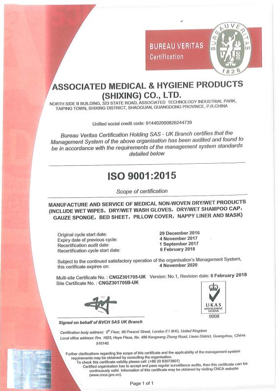 ISO 9001:2015 - Golden Starry Environmental Products (Shenzhen) Co., Ltd.