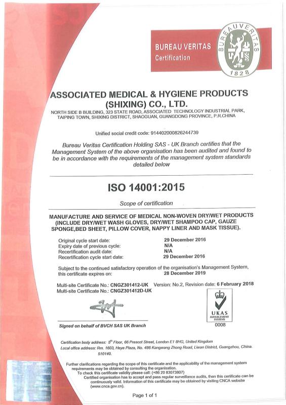ISO 14001:2015 - Golden Starry Environmental Products (Shenzhen) Co., Ltd.
