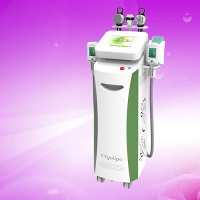 China 5 handles RF beauty equipment cryolipolysis slimming machine for beauty salon for sale