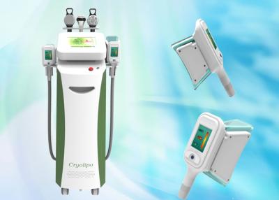 China CE / FDA approved cooling max -15'C safety lipocryo cryolipolysis slimming fat freezing cool shape machine for sale