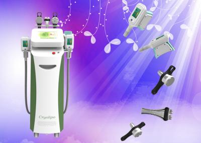 China Best effect!!! fat freeze,skin rejuvenation,wrinkle removal cryolipolysis slimming machine for sale