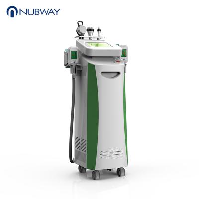 China Professional best price cool technology body slimming weight loss cryolipolysis machine with CE certificattion for sale
