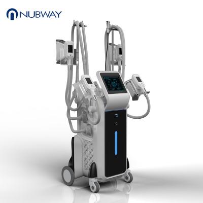 China 2019 online order free shipping newest fda approval cryolipolysis slimming machine for sale