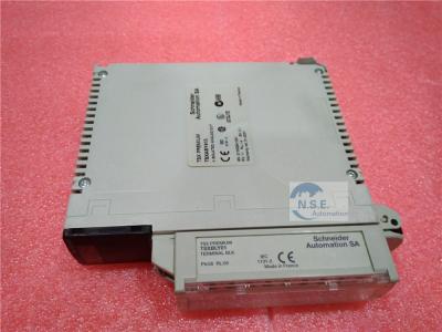 Cina Premio automatizzato di Modicon del modulo di uscita analogica di Schneider Modicon TSXASY410 in vendita