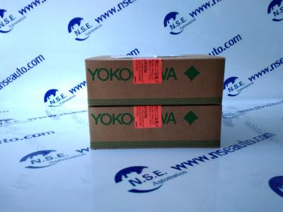 China Yokogawa AAI143-S00 Analog Input Module AAI143-S00 New Original Guarantee for sale