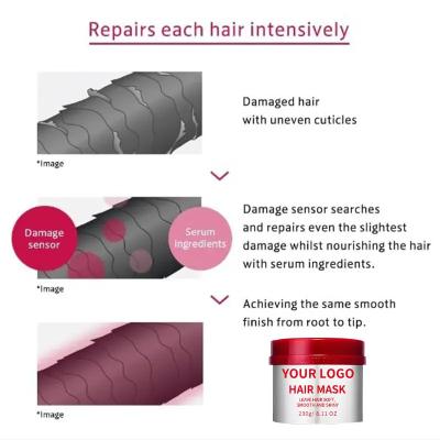 Cina Idratante e rinforzante i capelli nutrono profondamente la maschera per capelli in vendita