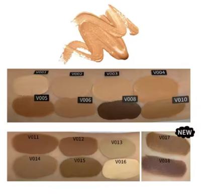 China Natural Finish Foundation Liquid with Skin Loving Ingredients Full Cover Color Changing Best Foundation Makeup for sale