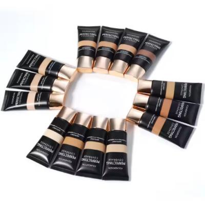 China Natural Finish Foundation Liquid with Skin Loving Ingredients Full Cover Color Changing Best Foundation Makeup for sale