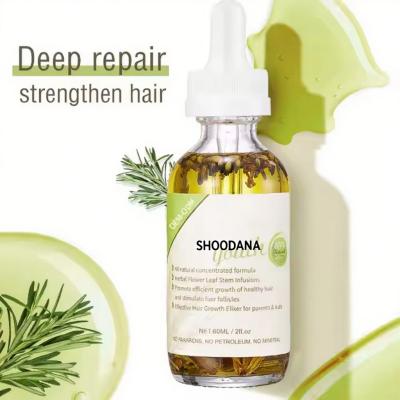 Cina OEM / ODM 100% olio di albero di tè biologico naturale infuso rosmarino siero per la cura del cuoio capelluto Il nostro proprio trattamento dei capelli di marca e olio di crescita per uomini donne in vendita