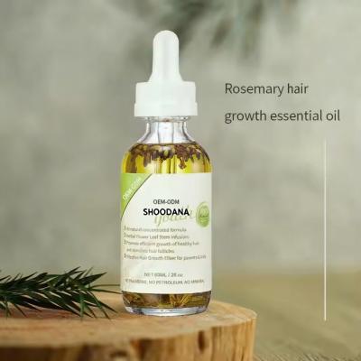 Cina OEM / ODM 100% olio di albero di tè biologico naturale infuso rosmarino siero per la cura del cuoio capelluto Il nostro proprio trattamento dei capelli di marca e olio di crescita per uomini donne in vendita