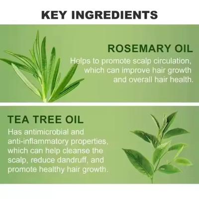 Cina OEM / ODM 100% olio di albero di tè biologico naturale infuso rosmarino siero per la cura del cuoio capelluto Il nostro proprio trattamento dei capelli di marca e olio di crescita per uomini donne in vendita