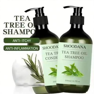 Cina OEM / ODM 100% olio di albero di tè biologico naturale infuso rosmarino siero per la cura del cuoio capelluto Il nostro proprio trattamento dei capelli di marca e olio di crescita per uomini donne in vendita