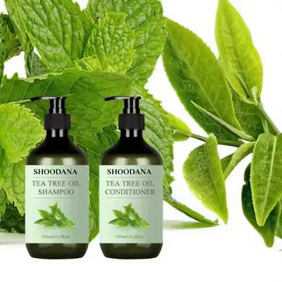 Cina OEM / ODM 100% olio di albero di tè biologico naturale infuso rosmarino siero per la cura del cuoio capelluto Il nostro proprio trattamento dei capelli di marca e olio di crescita per uomini donne in vendita