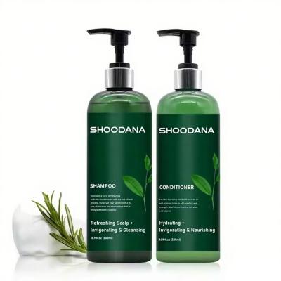 Cina Shampoo organico con marchio privato OEM / ODM con Tea Tree e Aloe Cura dei capelli professionale per saloni Cura dei capelli all'ingrosso Shampoo Balsamo Hotel in vendita