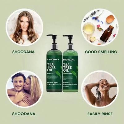 Cina Shampoo organico con marchio privato OEM / ODM con Tea Tree e Aloe Cura dei capelli professionale per saloni Cura dei capelli all'ingrosso Shampoo Balsamo Hotel in vendita