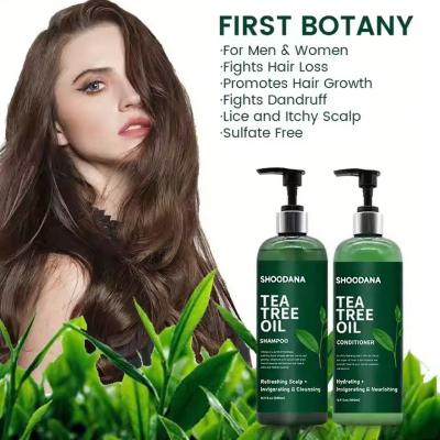 Cina Shampoo organico con marchio privato OEM / ODM con Tea Tree e Aloe Cura dei capelli professionale per saloni Cura dei capelli all'ingrosso Shampoo Balsamo Hotel in vendita