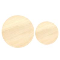 China Durable Circle Biodegradable Disposable Tableware For Appetizer for sale