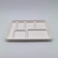 China 6 Compartment Disposable Biodegradable Bagasse Divided Rectangle Tray 320x220mm 38g for sale